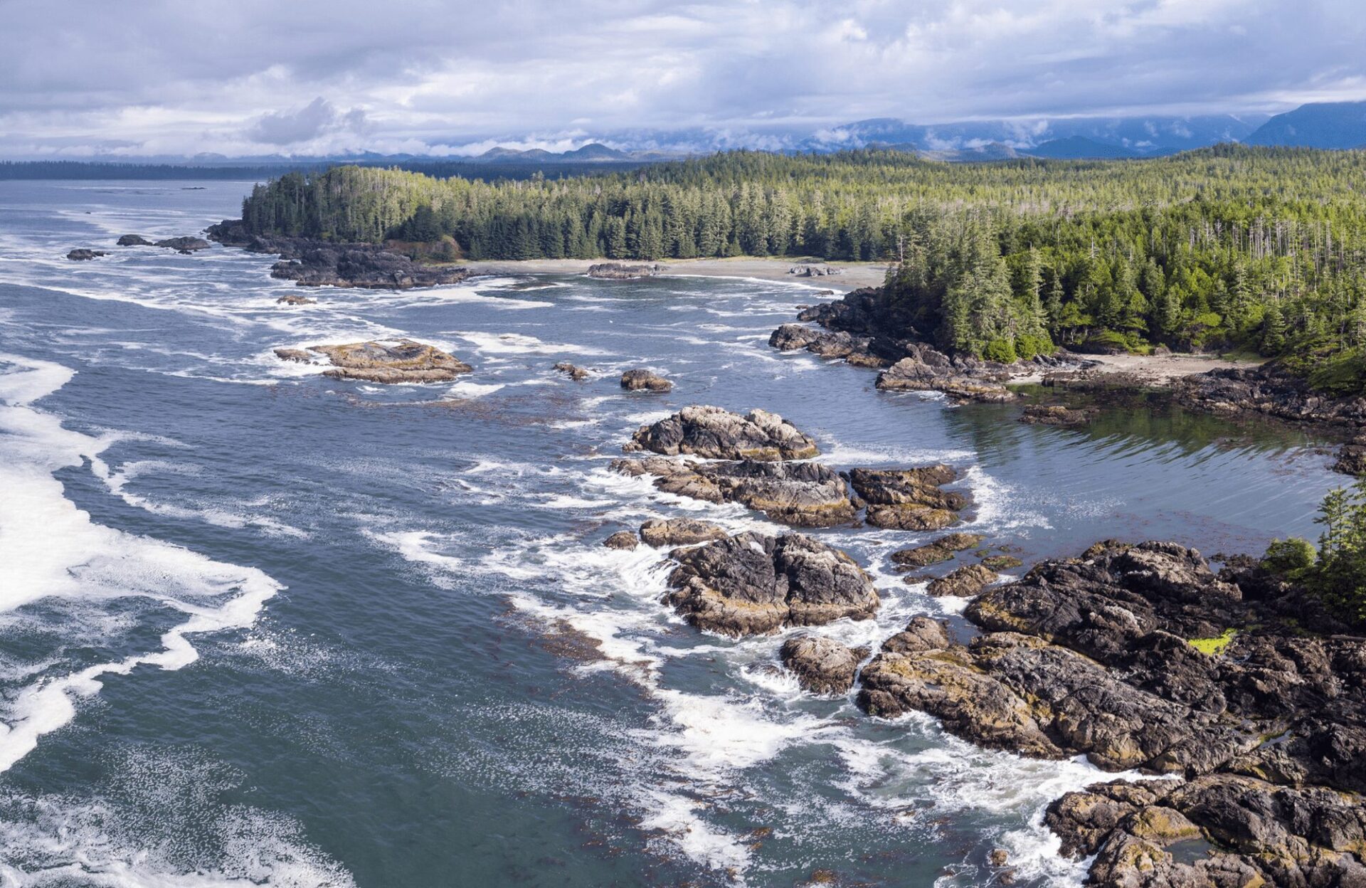 Our Guide To West Coast Sightseeing | Vancouver Island West Coast